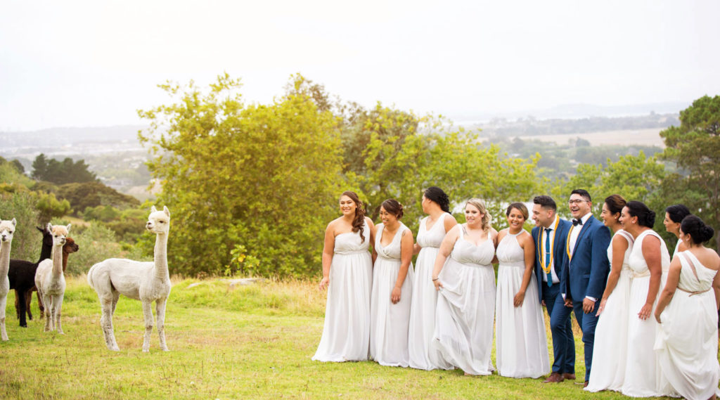 Tyler & Rennie - Gracehill Vineyard Estate Wedding