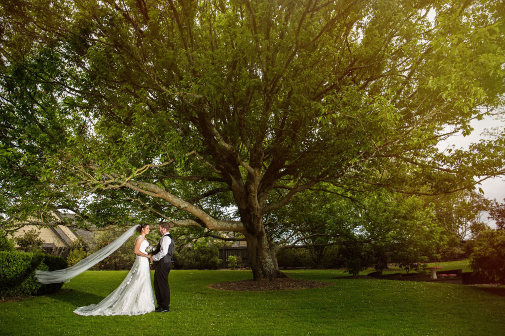 Lindie & Don - The Brigham Wedding